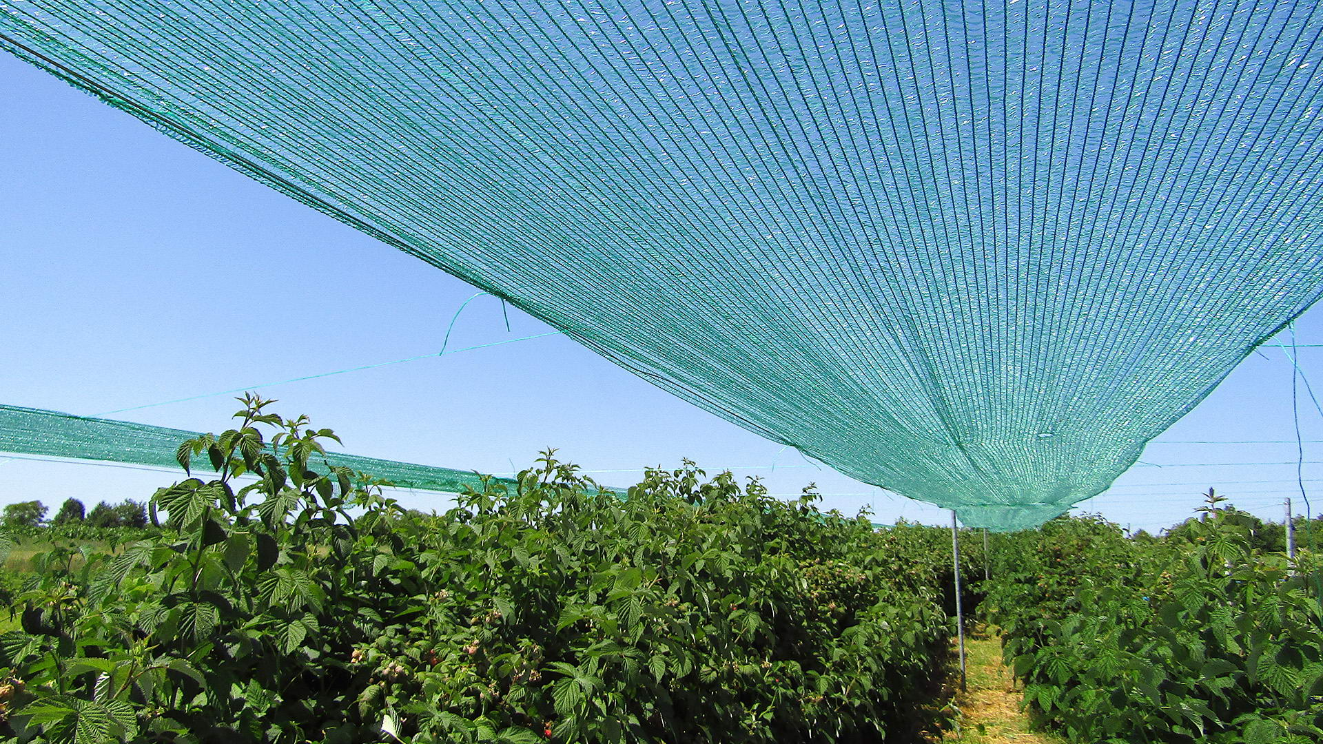 Shade Net Dubai | Dubai Coast Trading